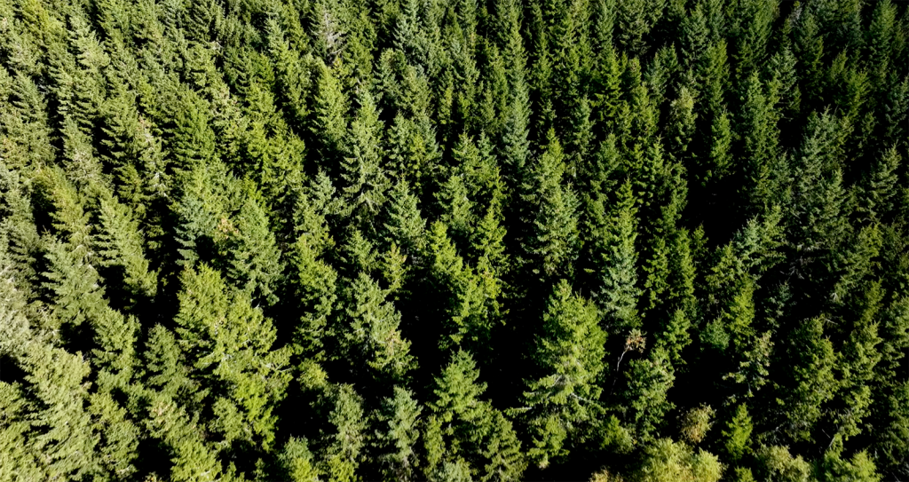 Nordre Norden kommer til å være foregangsfigurer - Davvi Vindpark